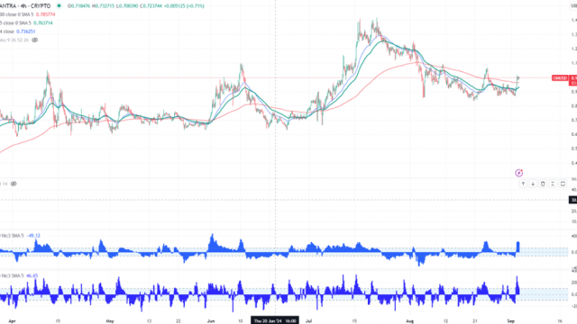 Mantra- Blockchain for RWA tokenization | Research | IXFI