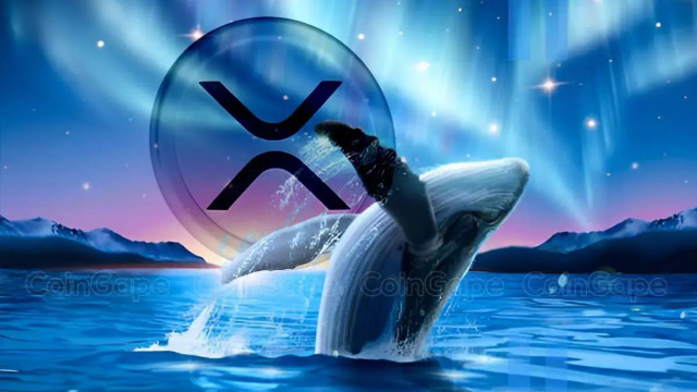 XRP Whales Inflow To Binance Hits 6-Month High, Here's Its Implication | Research | IXFI